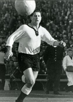 Musenblätter - Das unabhängige Kulturmagazin